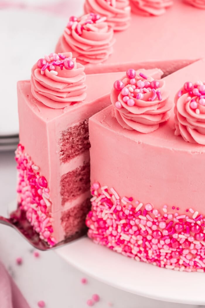 Pink Cake Recipe - Dinner at the Zoo