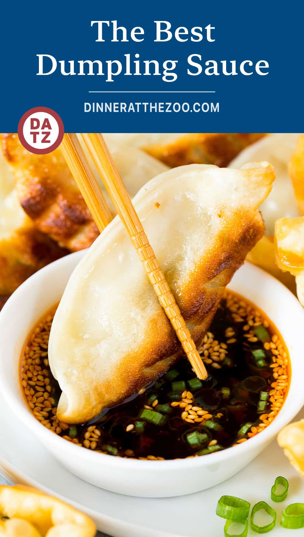 Dumpling Sauce - Dinner at the Zoo