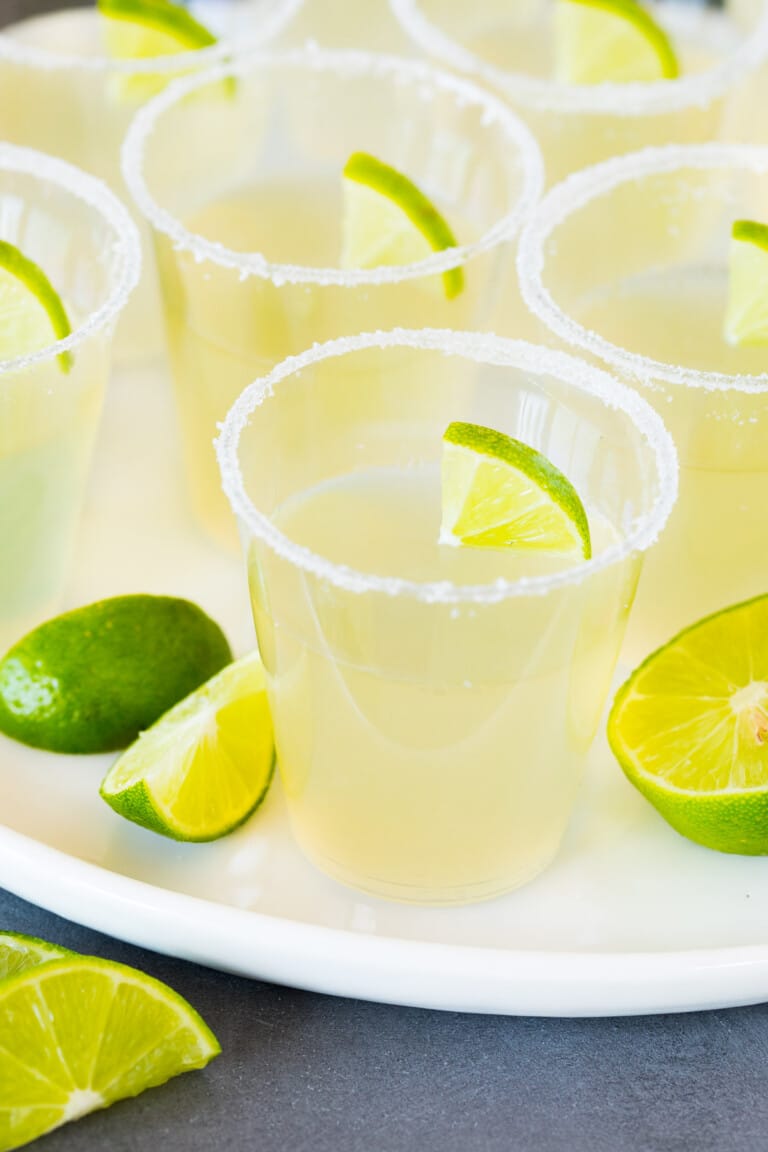 Margarita Jello Shots - Dinner at the Zoo