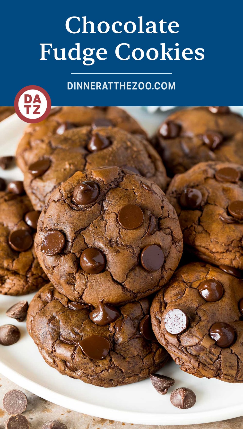 Chocolate Fudge Cookies - Dinner at the Zoo
