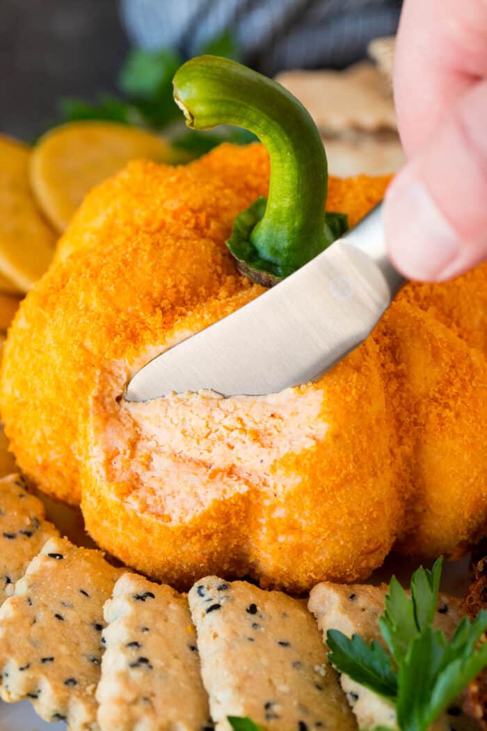 Pumpkin Cheese Ball - Dinner at the Zoo