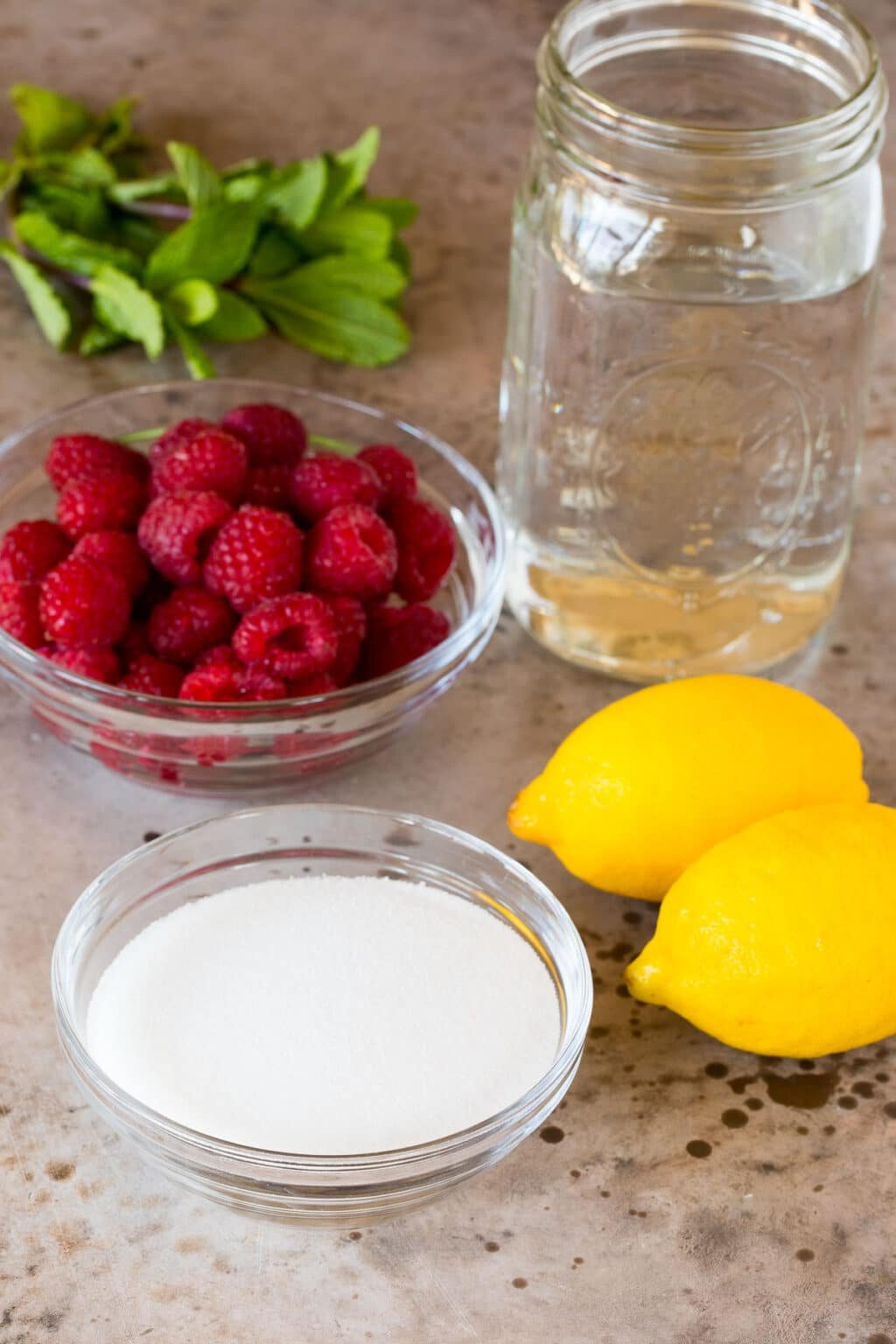 Raspberry Lemonade - Dinner at the Zoo