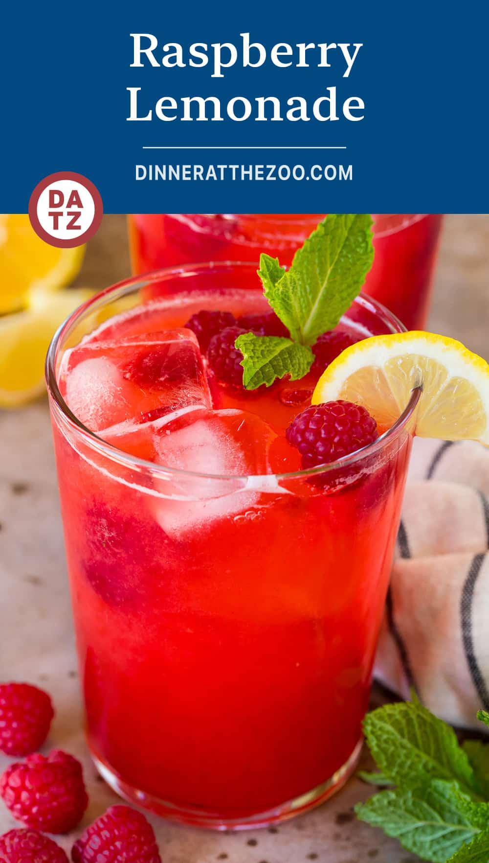 Raspberry Lemonade - Dinner at the Zoo