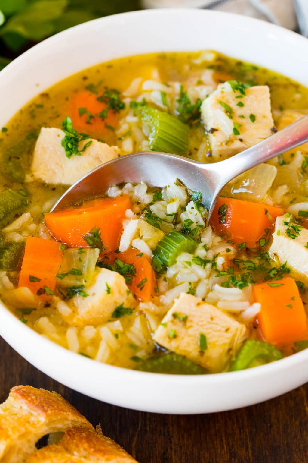 Turkey and Rice Soup - Dinner at the Zoo