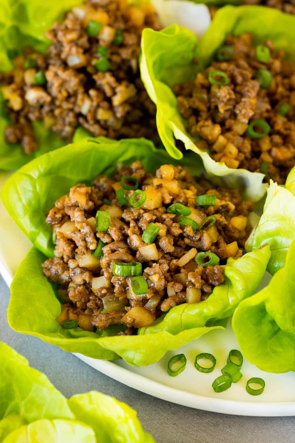 Beef Lettuce Wraps - Dinner at the Zoo